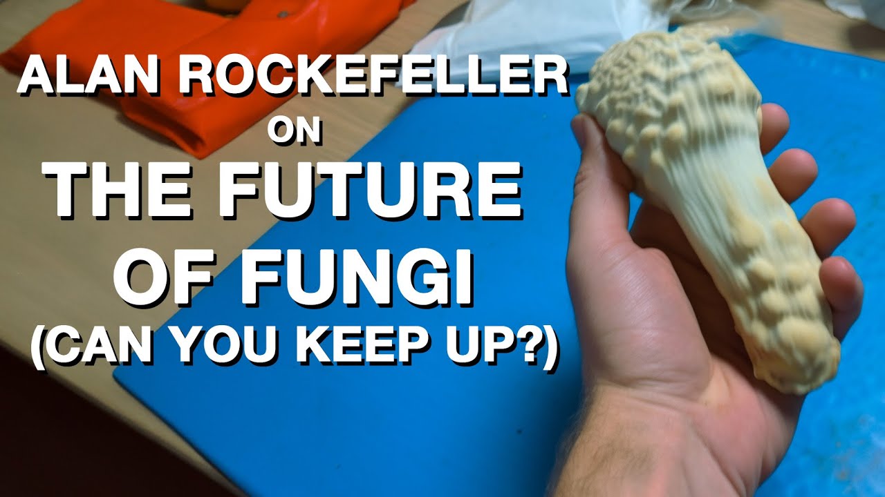 THE FUTURE OF FUNGI with ALAN ROCKEFELLER - YouTube