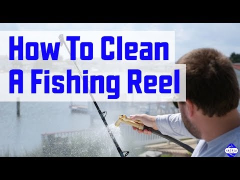 How to Clean a Fishing Reel - YouTube