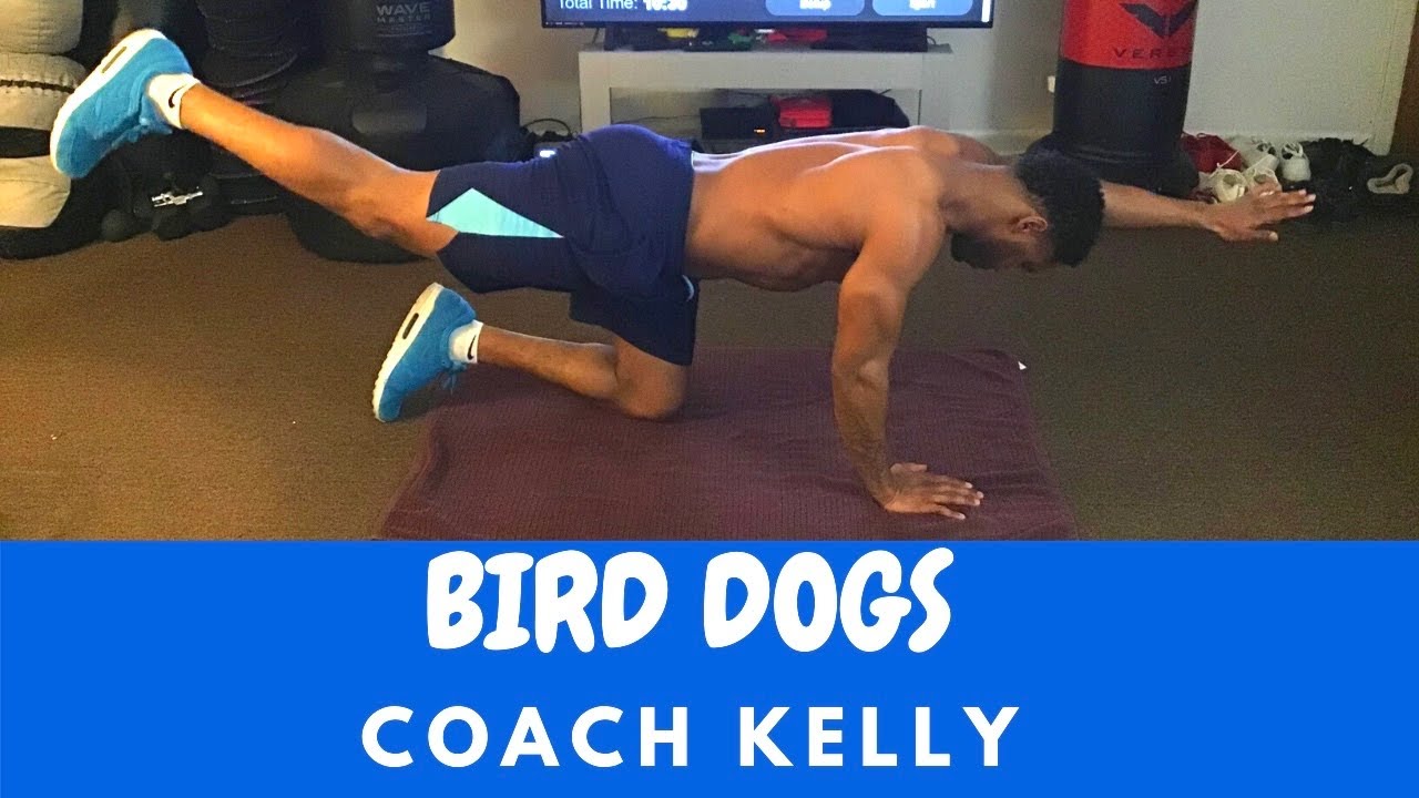 How to do Bird Dogs (core/abs) - YouTube