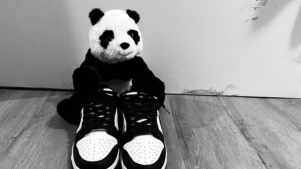 Reviewing Nike Dunks Panda Colorway - YouTube