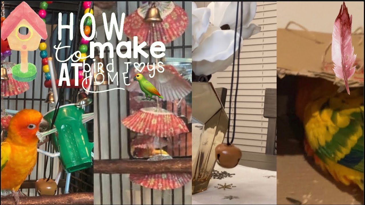 How To Make Bird Toys At Home YouTube How To Make Bird Toys At Home YouTube