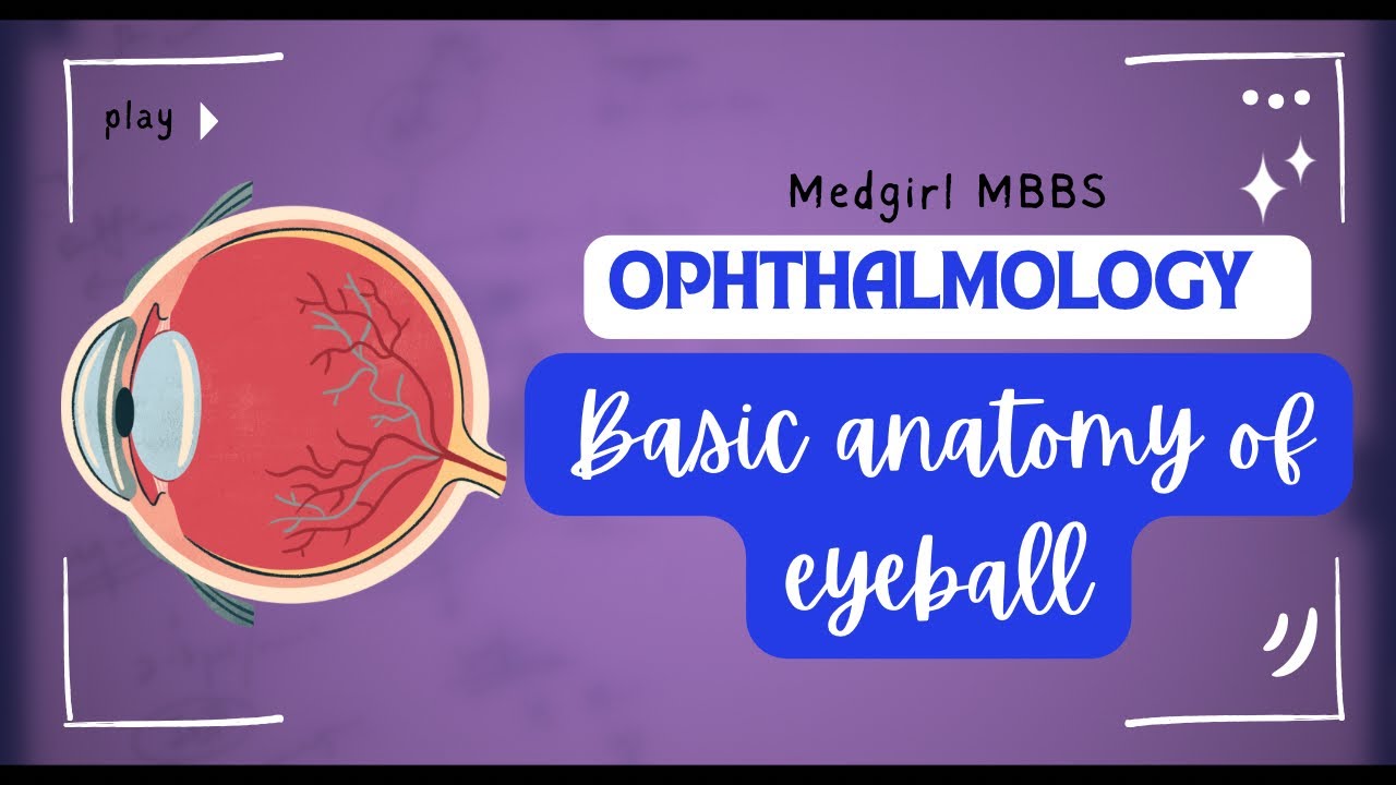 Basic anatomy of eyeball | OPHTHALMOLOGY || MEDGIRL - YouTube