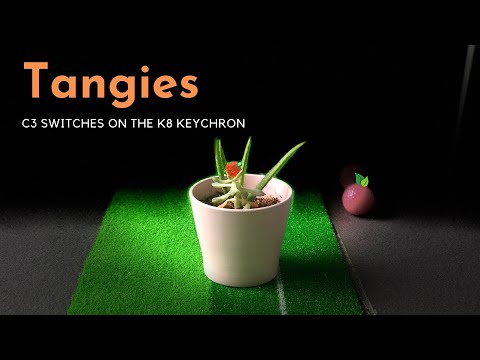 Keychron K8 C3 Tangerine Typing Sounds 🎧 - YouTube