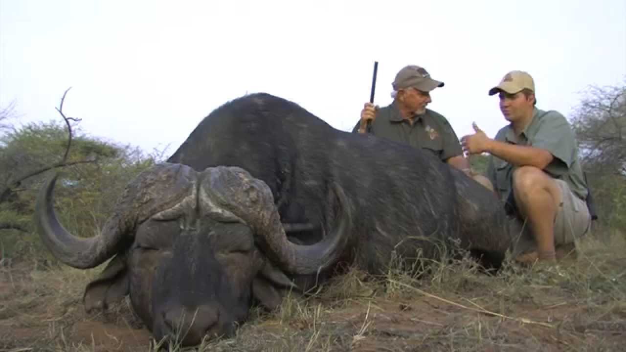first buffalo hunt 2015 Thwane Safaris africa - YouTube