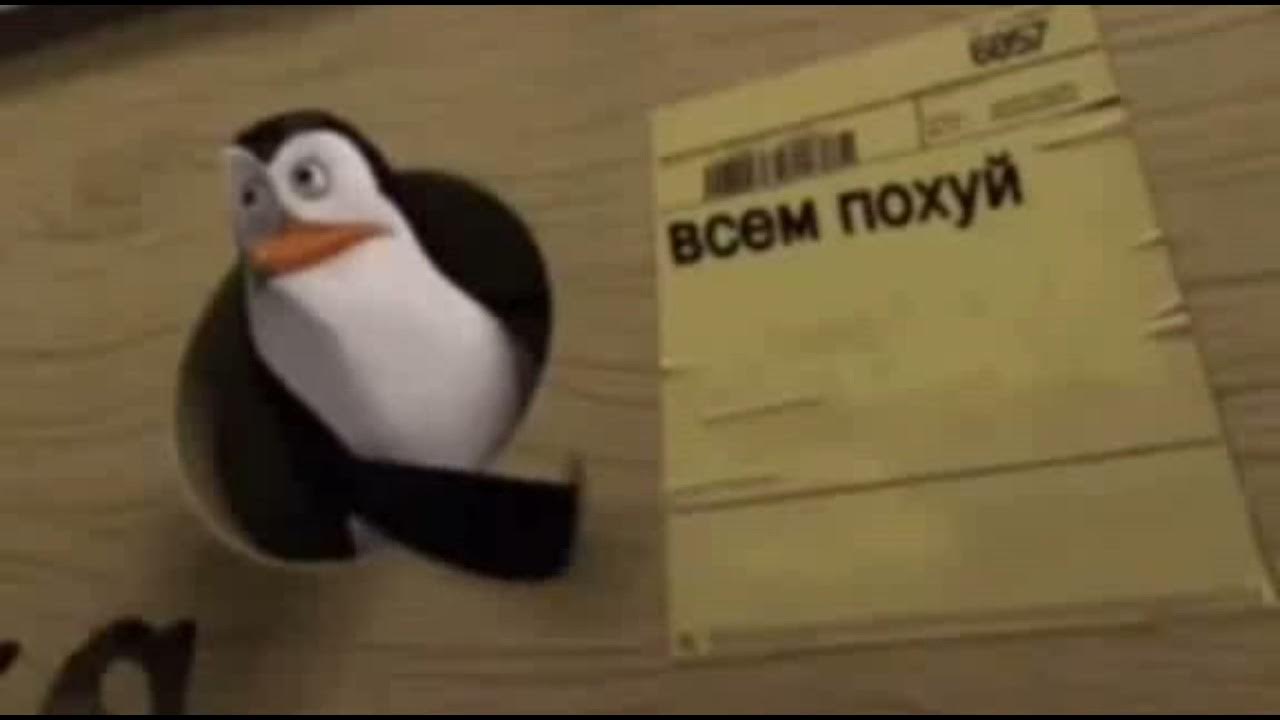всем похуй - YouTube