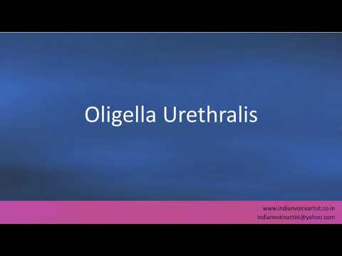Pronunciation of the word(s) "Oligella Urethralis". - YouTube