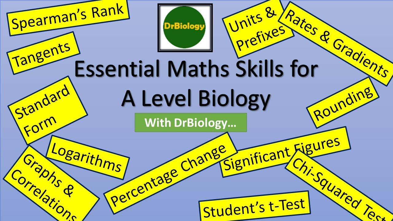 Maths Skills in Biology - Standard Form - YouTube