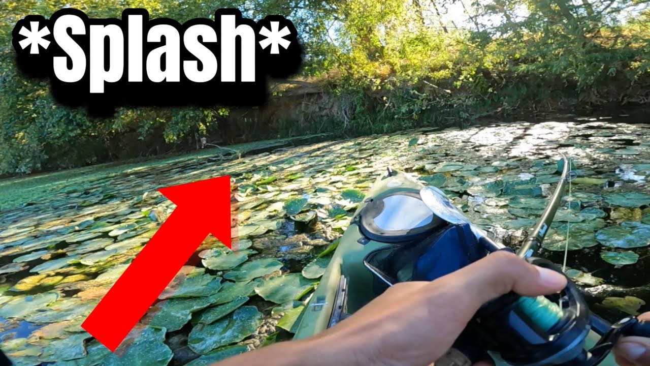 First TOPWATER Catch!!! (Fish BIT ME!!!) - YouTube