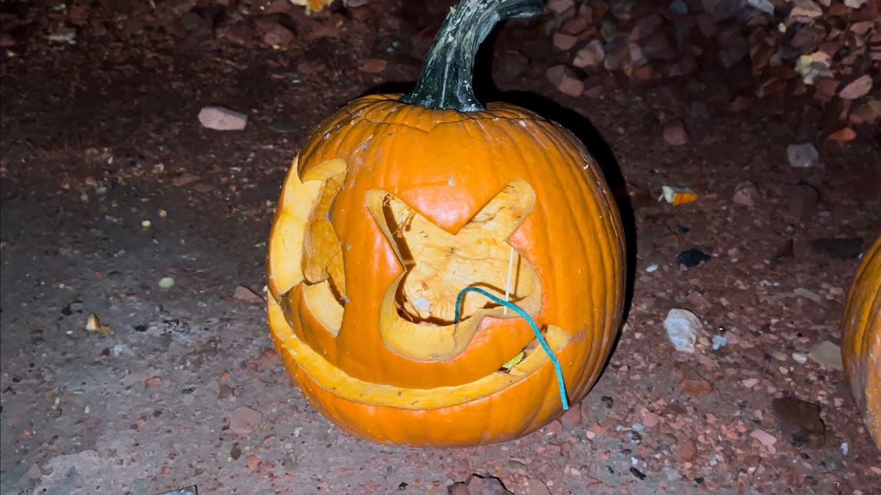 FIREWORK PUMPKINS - YouTube