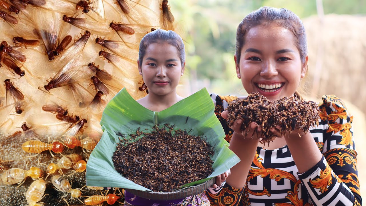 Yummy 😮 Fry flying termites with chili salt sauce | SIS Cooking TV ...