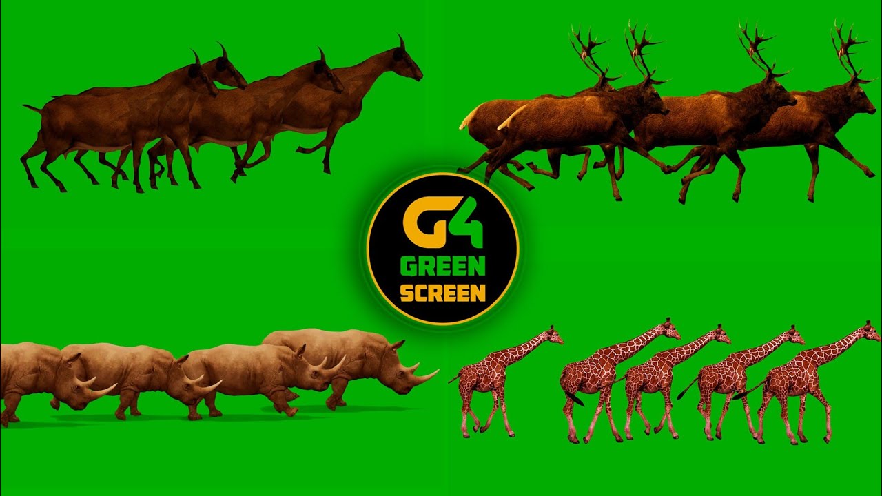 #greenscreen Group Animal Stampede Crossover With Sound Effect (Part 2 ...