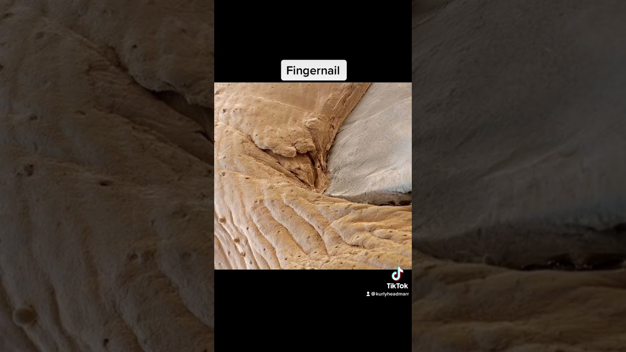 Human body parts under a microscope😳 #shorts - YouTube