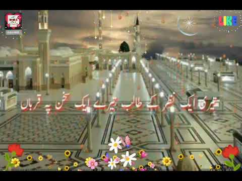 Famous Naat Status | Teri Ek Nazar Ke Talib | Islamudin_92 #shorts #shortsnaat #short