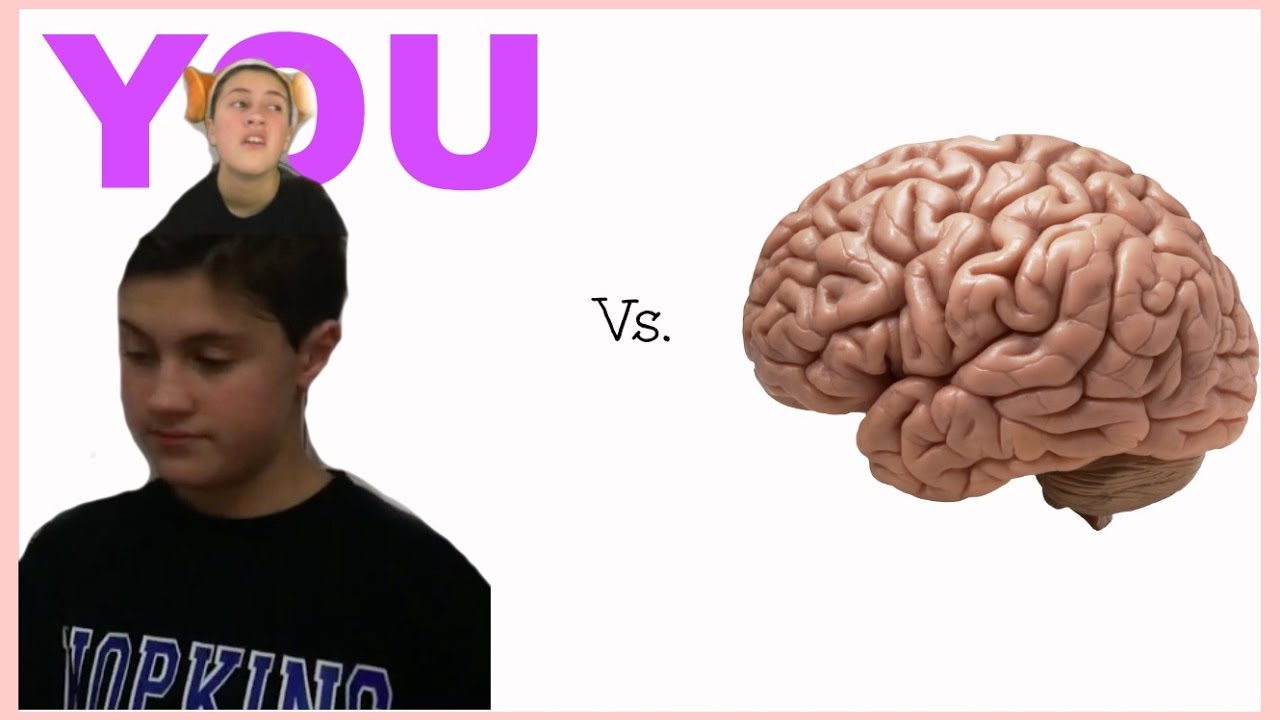 You vs. Your Brain // Talking to Relatives - YouTube