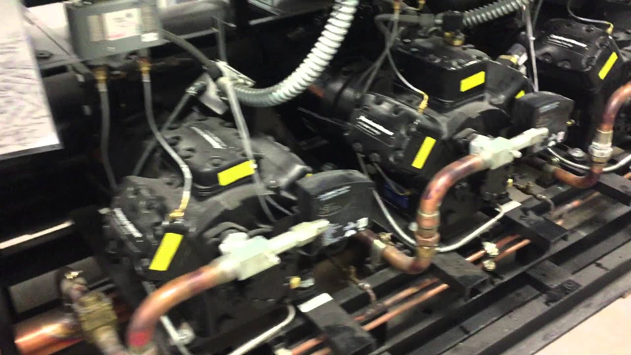 14 compressor r404a mechanical room - YouTube