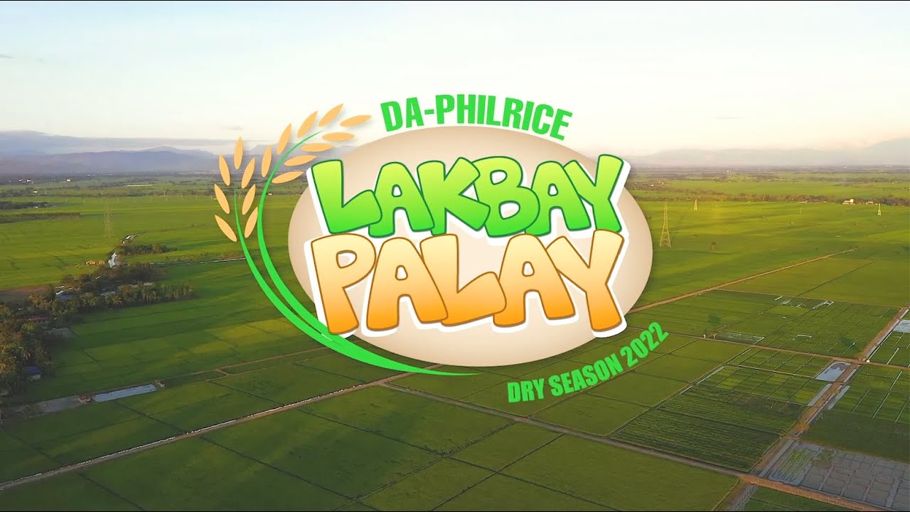 Lakbay Palay dry season 2022 - YouTube