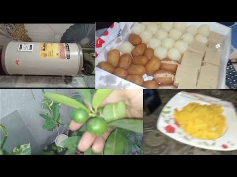 Bhai ly k aaye mithai || lemon ki Khushi || sardi aaty geezer lag gya ...