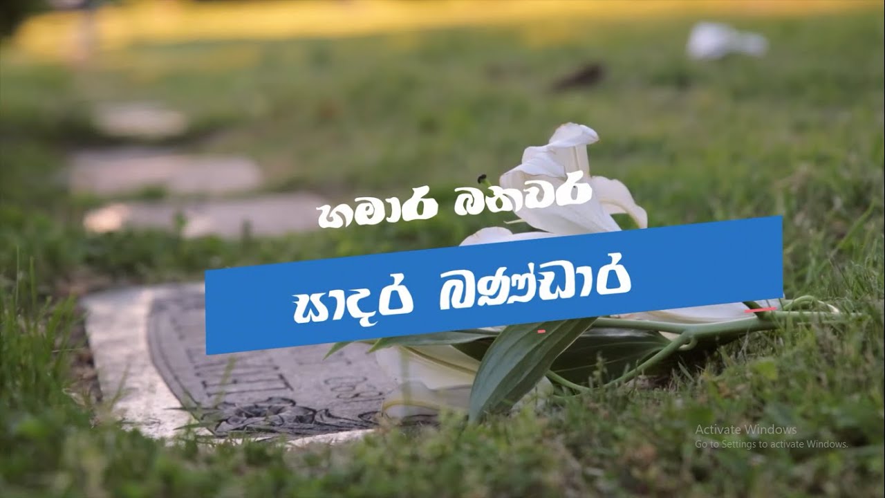 Hamara Banavara Lyrics Video | හමාර බණවර - Ravi Royster | Purudu Parema ...