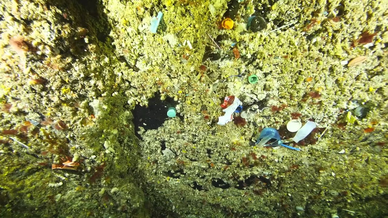 Plastic Pollution in an Underwater Cave - YouTube