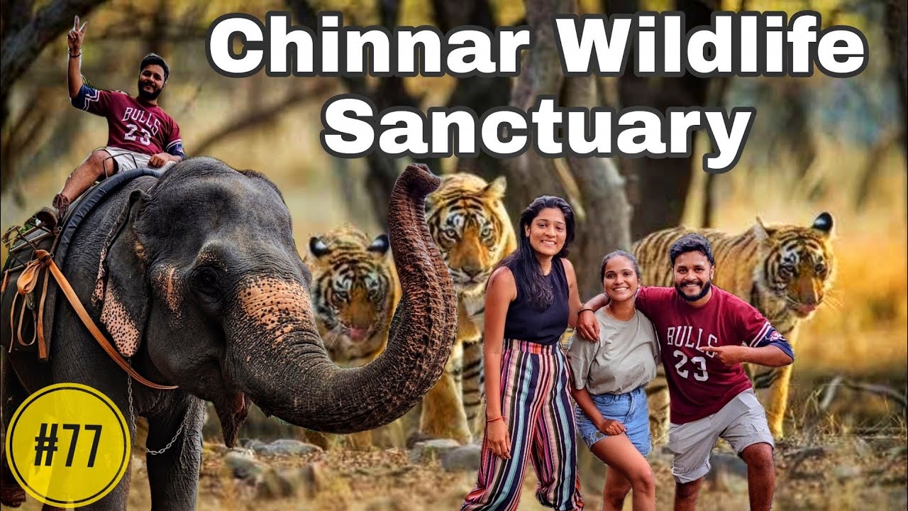 Chinnar wildlife sanctuary kerala and tamilnadu - YouTube