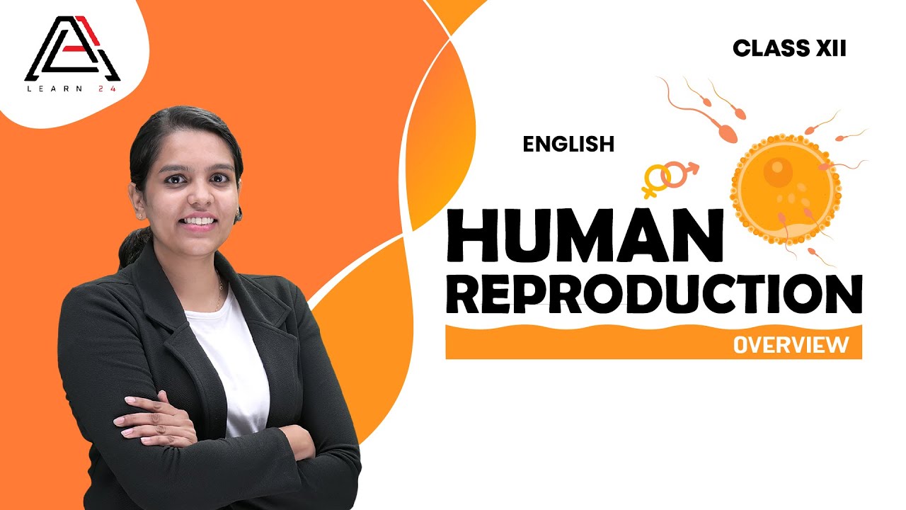 HUMAN REPRODUCTION | CLASS 12 CBSE | BIOLOGY | OVERVIEW - YouTube