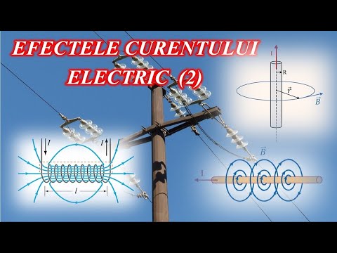CURENTUL ELECTRIC CONTINUU - EFECTUL MAGNETIC ȘI EFECTUL FIZIOLOGIC ...