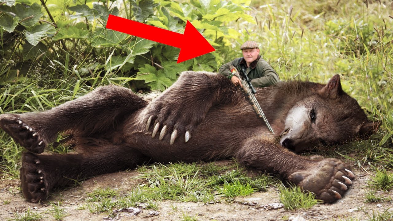 9 BIGGEST Cryptids From The US - YouTube