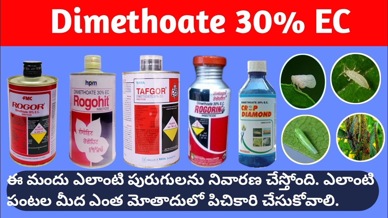 Dimethoate 30% Ec full details - YouTube