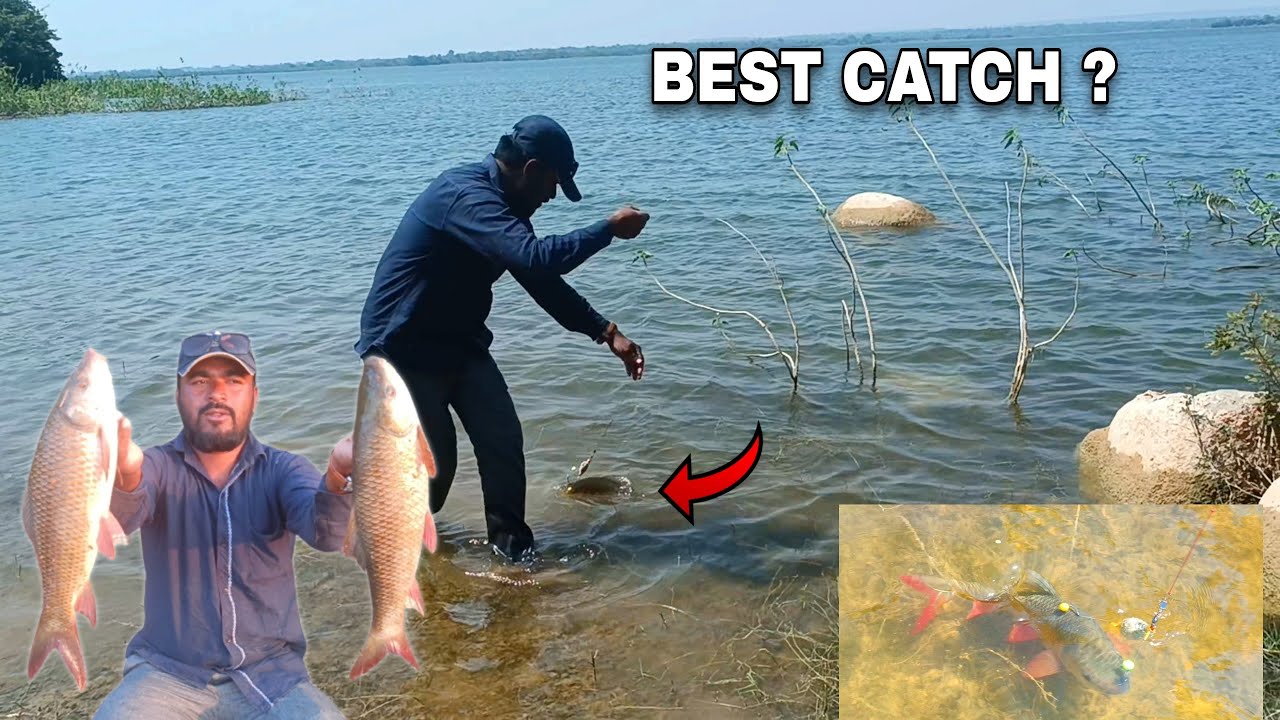 FISHING TECHNIQUE VIDEOS | FISH CATCHING IN HINDI | ALL INDIA COURIER ...