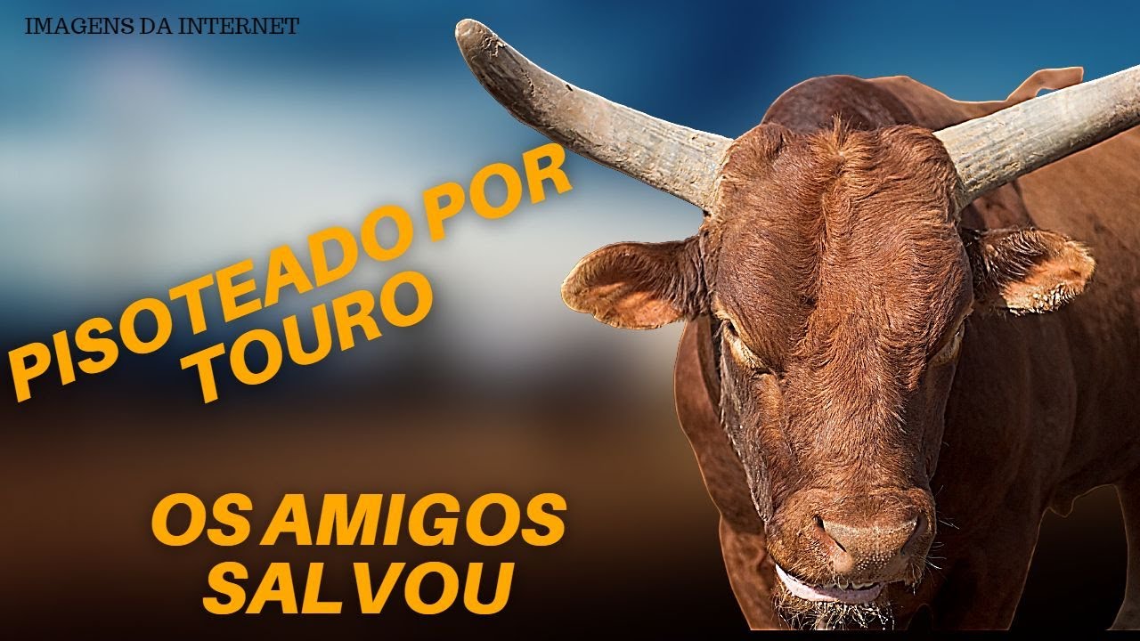 PEÃO É quase PISOTEADO MAIS FELIZMENTE OS AMIGOS O SALVAM !!!!! A UNIÃO ...