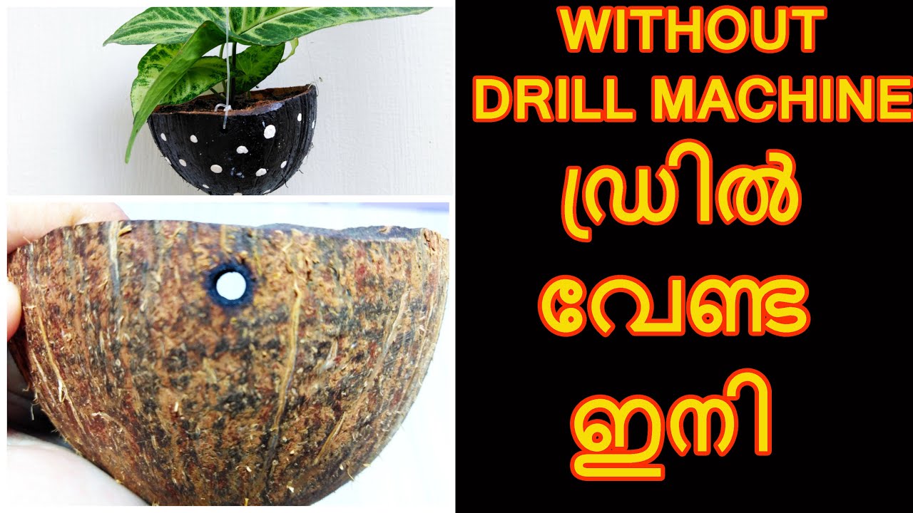 How to make holes on coconut shell without driller/DIY Coconut planter ...