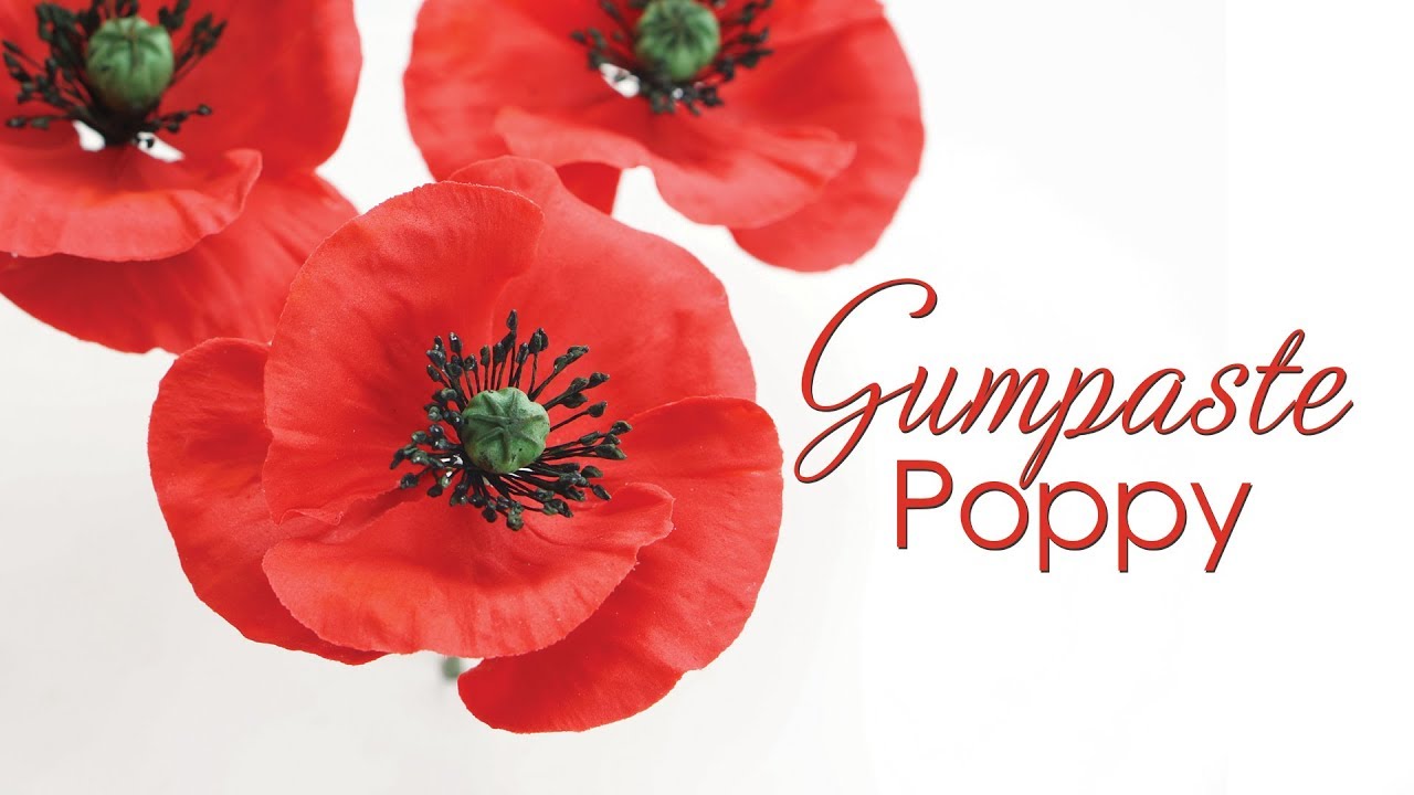 How to make a Gumpaste Poppy Tutorial - YouTube
