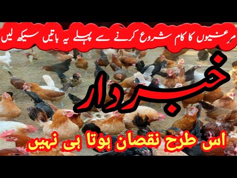 How to start small golden misri business in pakistan |golden misri ...