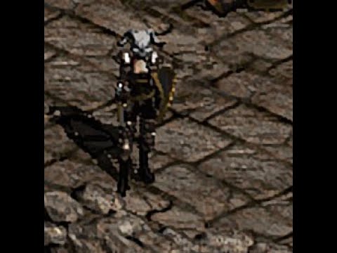 Trying to make Firelizard and Shadowkiller work, Path of Diablo 2 ...