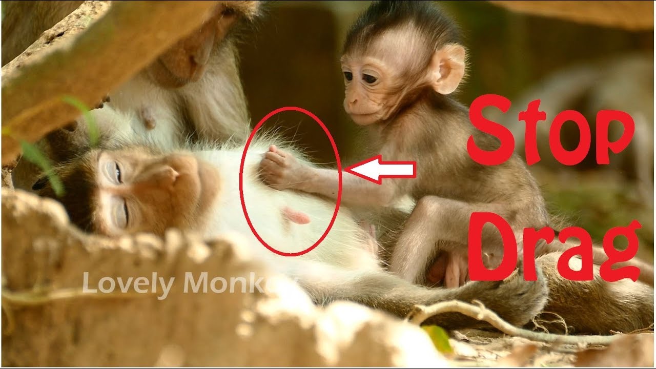 What are You Doing Baby Mika? Both Mom and Baby Are Making This World ...