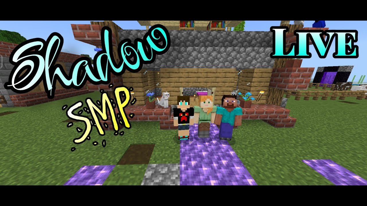#Day 4 Of Shadow SMP / Aaj Diamond Mining And Villager Hall Complete ...