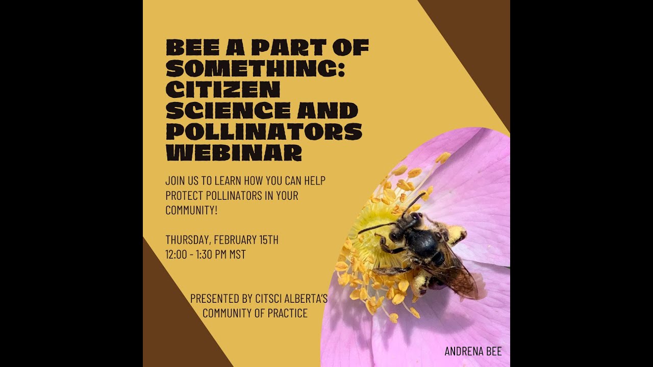 Alberta CitSci Community of Practice - Feb 2024 - Citizen Science and ...