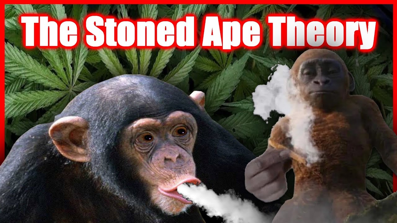 Monkeys Mushrooms and Brain Chemistry | The Stoned Ape Theory - YouTube