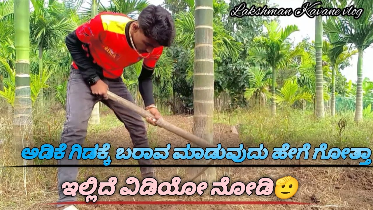 Adike gida batav maduva vidan🫡 Lakshman Kavane vlog//#youtube #channel ...