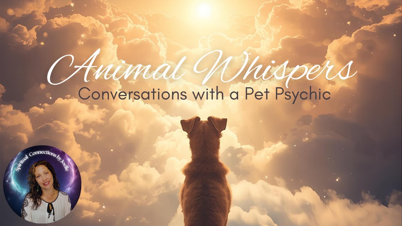 Animal Whispers: Conversations with a Pet Psychic - YouTube