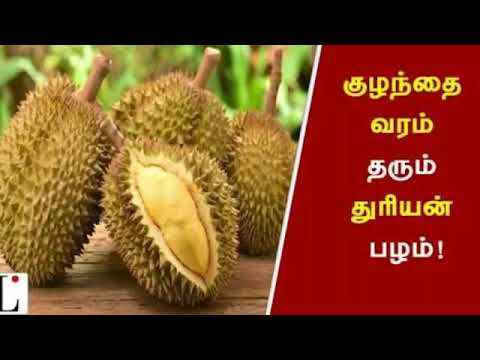 Thuriyan palam | Details | by Native nanban - YouTube