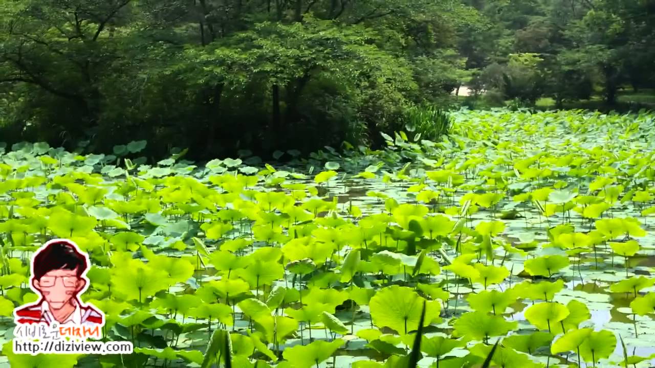 Samsung Smart Camera NX2000 - Video Filming Sample