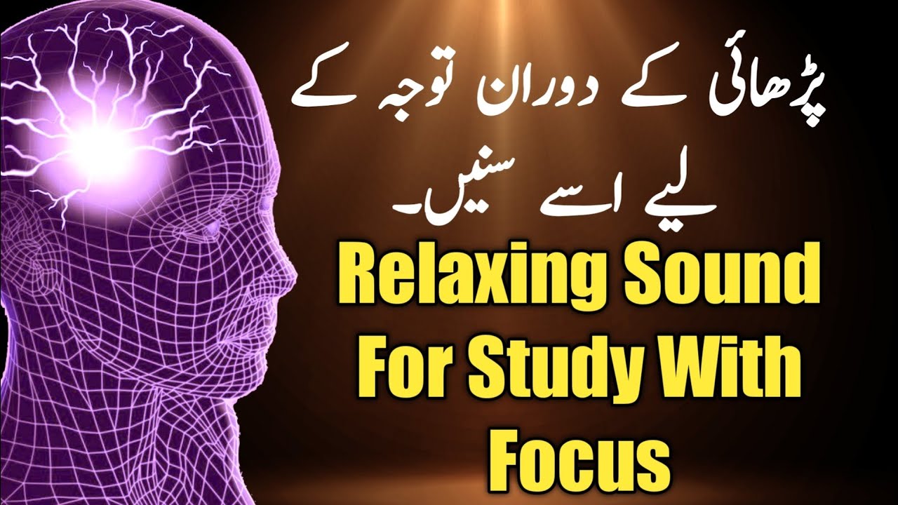 Relaxing Sound For Study| Learn Fast|Nature Sounds| Study with Focus ...