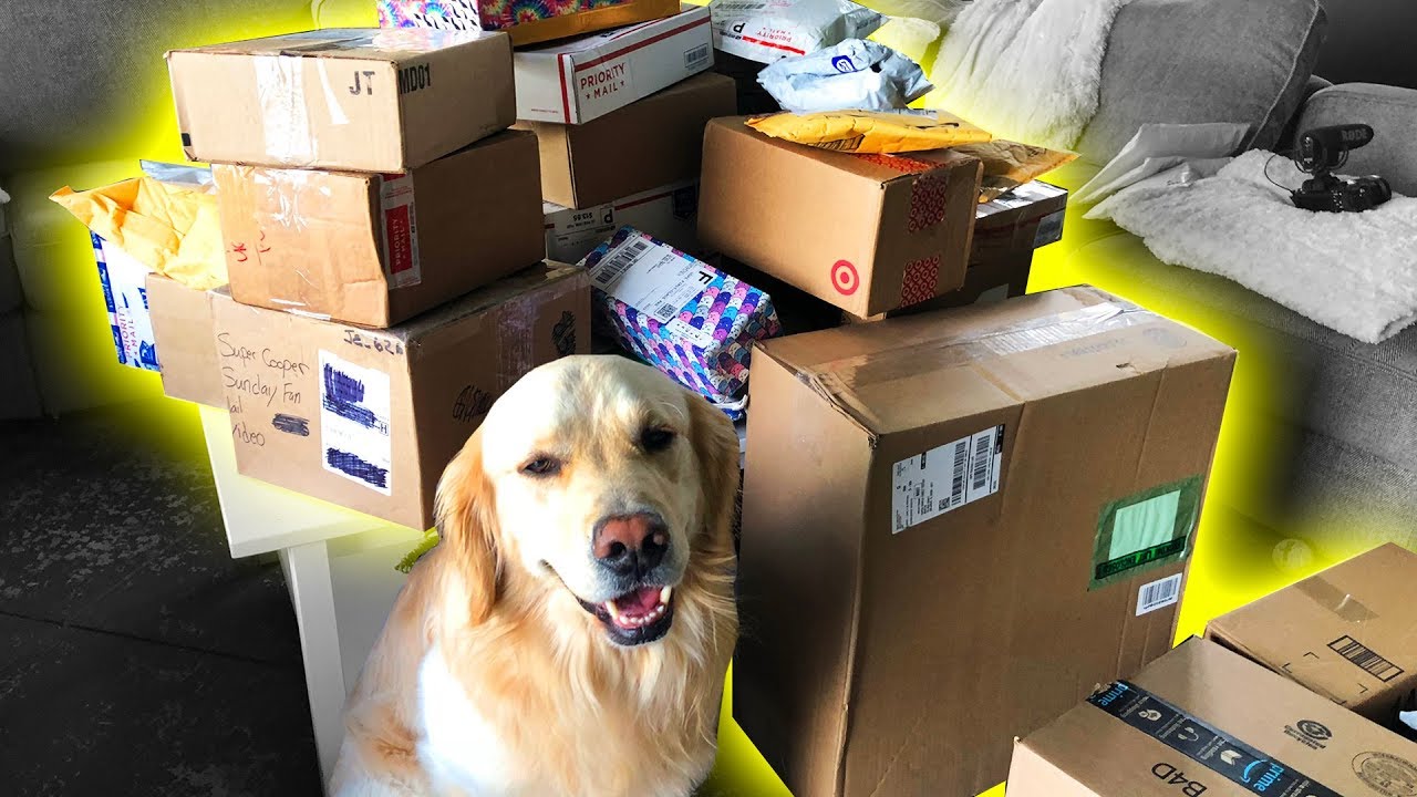 HUGE FAN MAIL OPENING! (Super Cooper Sunday #140) - YouTube