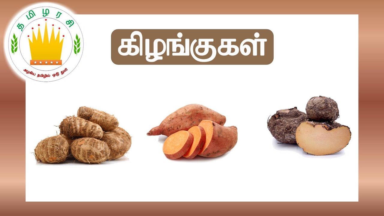 தமிழரசி- கிழங்குகள் | Learn Root Vegetables name in Tamil for kids and ...