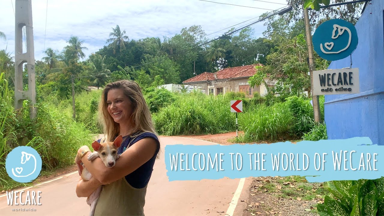 Welcome to the world of WECare - YouTube