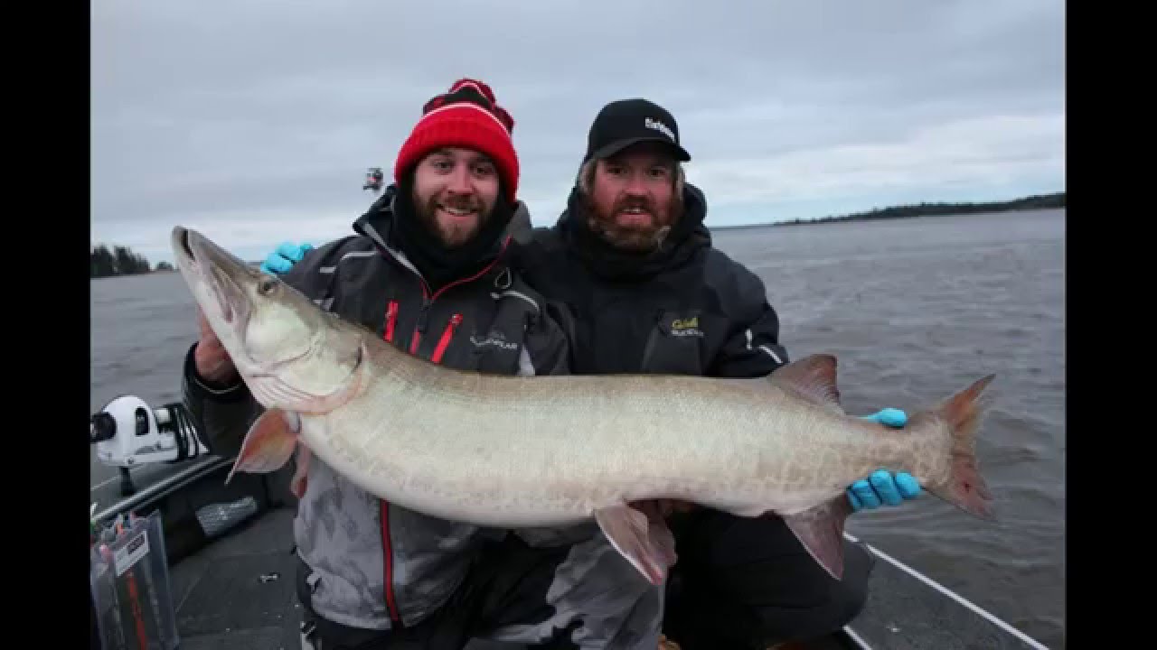 Fat 4 Foot Mattlock Muskie - YouTube