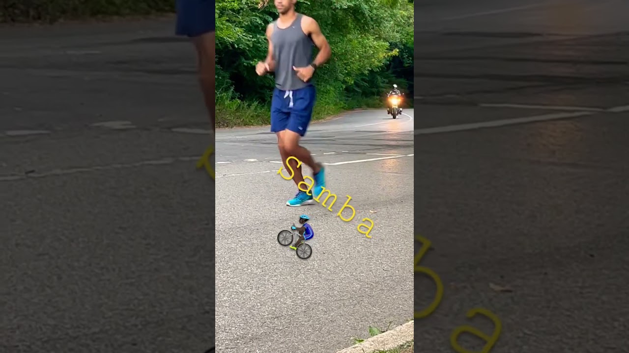 SAMBA BIKE EN PROSPECT PARK - YouTube