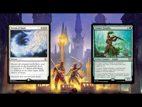 Timber Paladin vs Storm of Souls - MTG Rules Question - YouTube