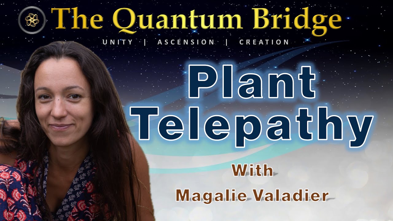Plant Telepathy - with Magalie Valadier - YouTube
